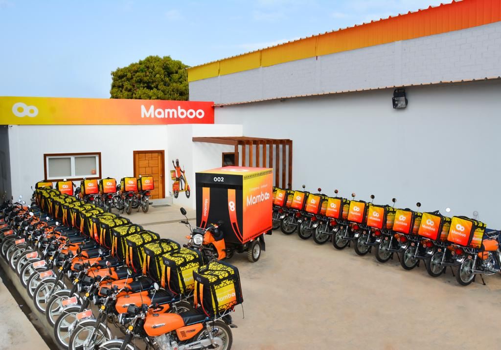 Mamboo Pack | Painel